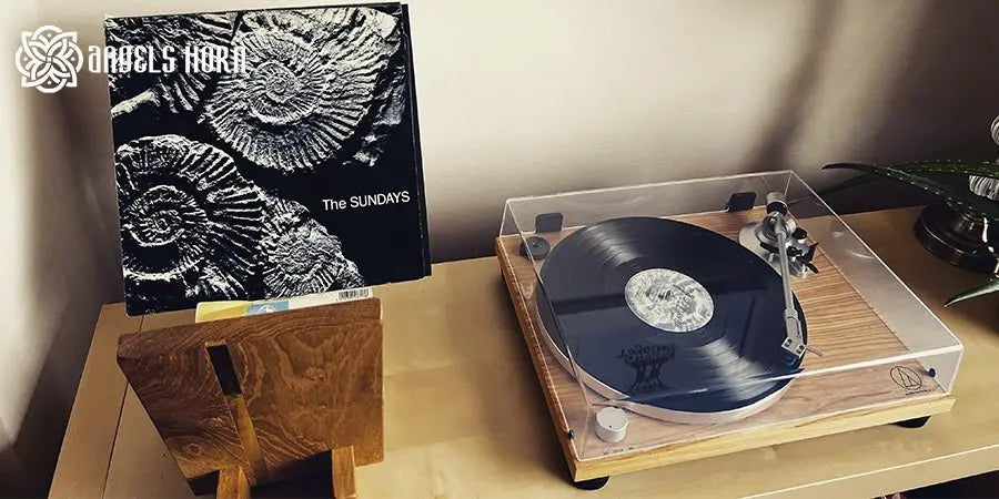 Angels Horn® 5 Tips for Turntable Maintenance - AngelsHorn
